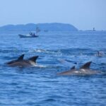 Bohol: Island Hopping with Snorkeling at Balicasag Island - Real Traveler Insights