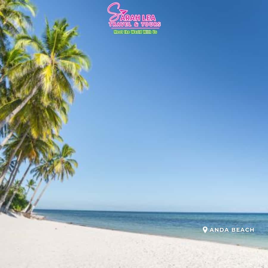 Bohol: Nature Discovery & Coastal Adventure Experience - What It’s Like to Experience This Tour