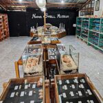 Bohol: PRIVATE Panglao Land Tour - Exploring the Shell Museum: Oceans Treasure Chest