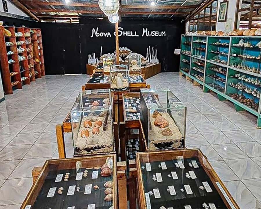 Bohol: PRIVATE Panglao Land Tour - Exploring the Shell Museum: Oceans Treasure Chest