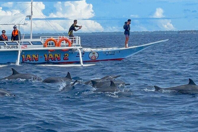 Bohol Province Balicasag Island Day Tour - Possible Drawbacks or Considerations