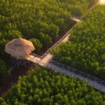 Bohol Sunset & Stories: A Bohol Evening Escape - Why Choose This Tour?