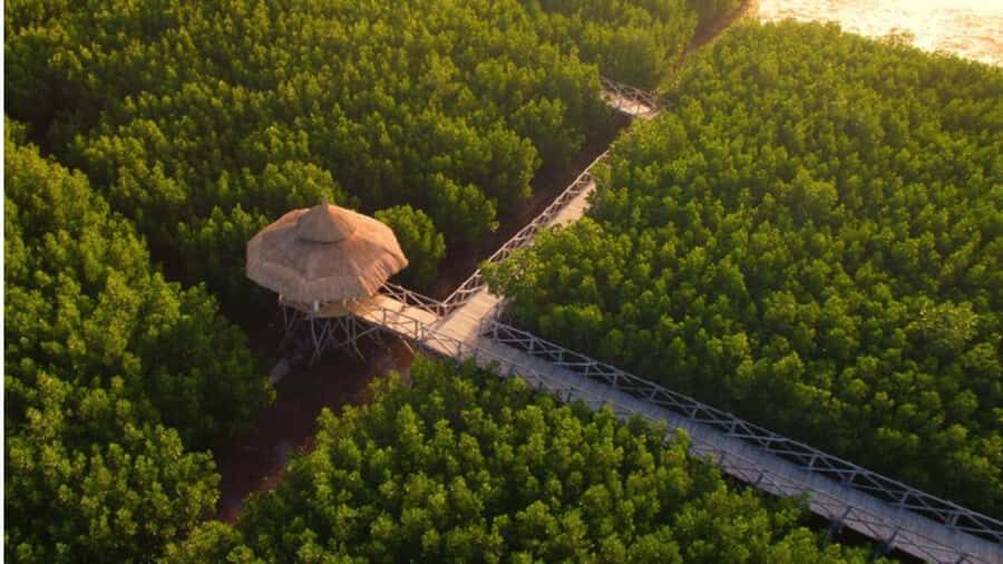 Bohol Sunset & Stories: A Bohol Evening Escape - Why Choose This Tour?