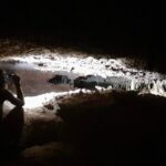 Bonaire Cave Tour: Walk, Climb & Swim - What to Expect During the Tour