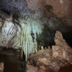 Bonaire CaveTour Climb, Snorkel & Explore the Hidden Gems - Authenticity and Experience from Reviews