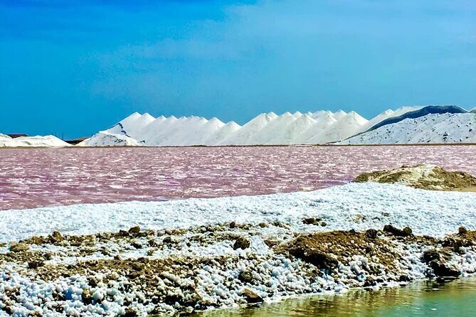 Bonaire City Tour Chubatu - Why This Tour Offers Value