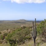 Bonaire Island North Side DiscoveryTour - Who Will Love This Tour?