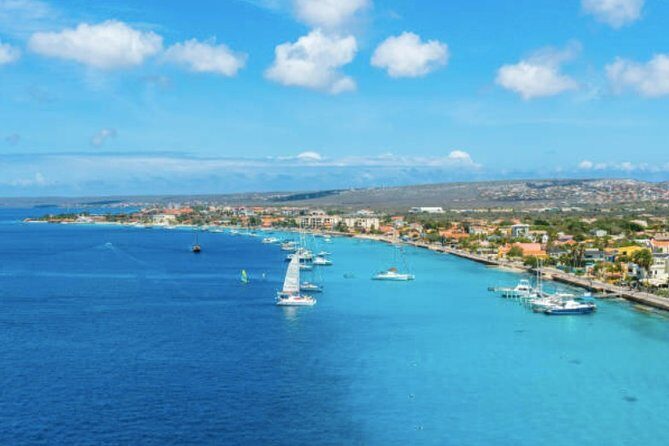 Bonaire Shore Excursion: The Bonaire Highlights Tour - Itinerary Breakdown: What to Expect