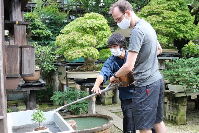 Bonsai(Japanese plants art)Culture Experience In Tokyo Progress - Why This Tour Stands Out