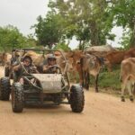 Boogies Bayahibe Adventure - The Sum Up: A Fun and Authentic Way to Explore