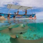 Bora Bora Full Day Snorkeling with Lunch - What Makes This Tour Stand Out