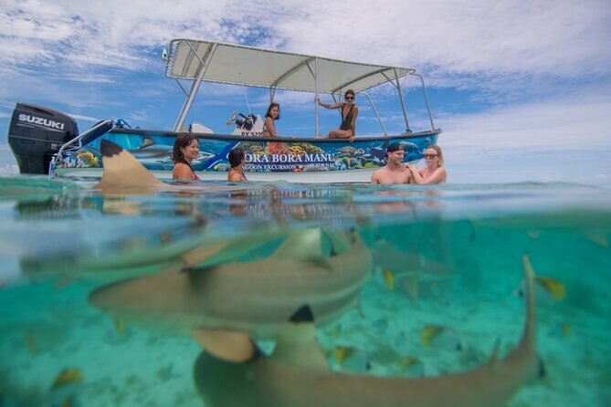 Bora Bora Full Day Snorkeling with Lunch - What Makes This Tour Stand Out