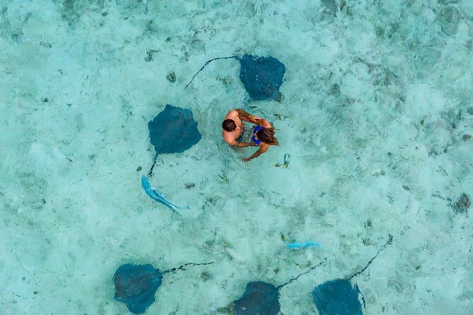 Bora Bora Jet Ski Tour, & Eco Shark / Ray Snorkel Cruise - Authenticity and Value