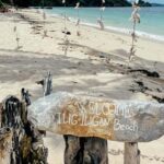 Boracay Soul: Hidden Shores, Feast & Ancestral Village Visit - Who Is This Tour Best For?