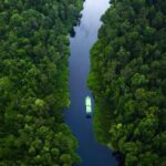 Borneo: 3 Days Orangutan River Cruise from Pangkalan Bun - Day 2: Deeper into the Rainforest and Cultural Encounters