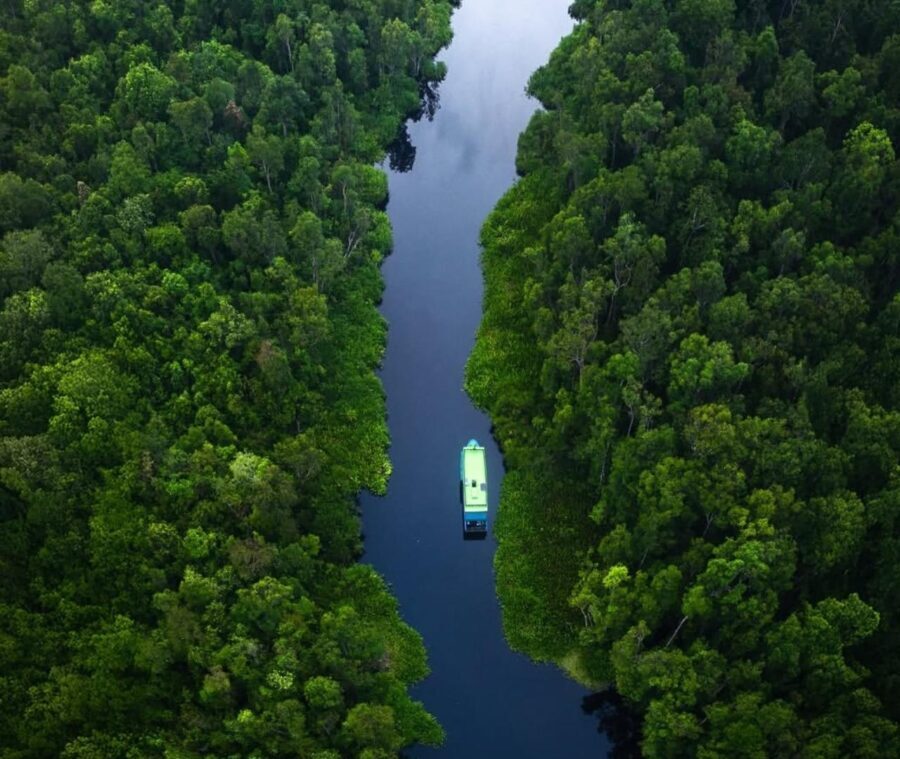Borneo: 3 Days Orangutan River Cruise from Pangkalan Bun - Day 2: Deeper into the Rainforest and Cultural Encounters