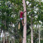 Borobudur: Cycling Tour and Explore Java Villages - Who Will Love This Tour?