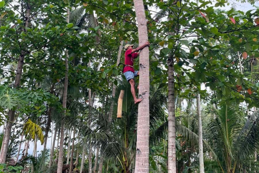 Borobudur: Cycling Tour and Explore Java Villages - Who Will Love This Tour?