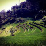 Borobudur Photography Day Tour - Practical Details That Matter