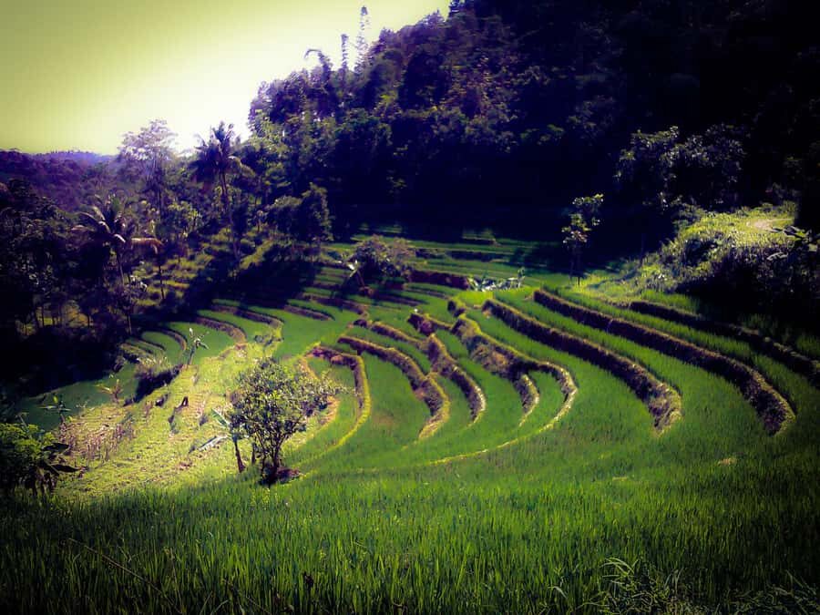 Borobudur Photography Day Tour - Practical Details That Matter