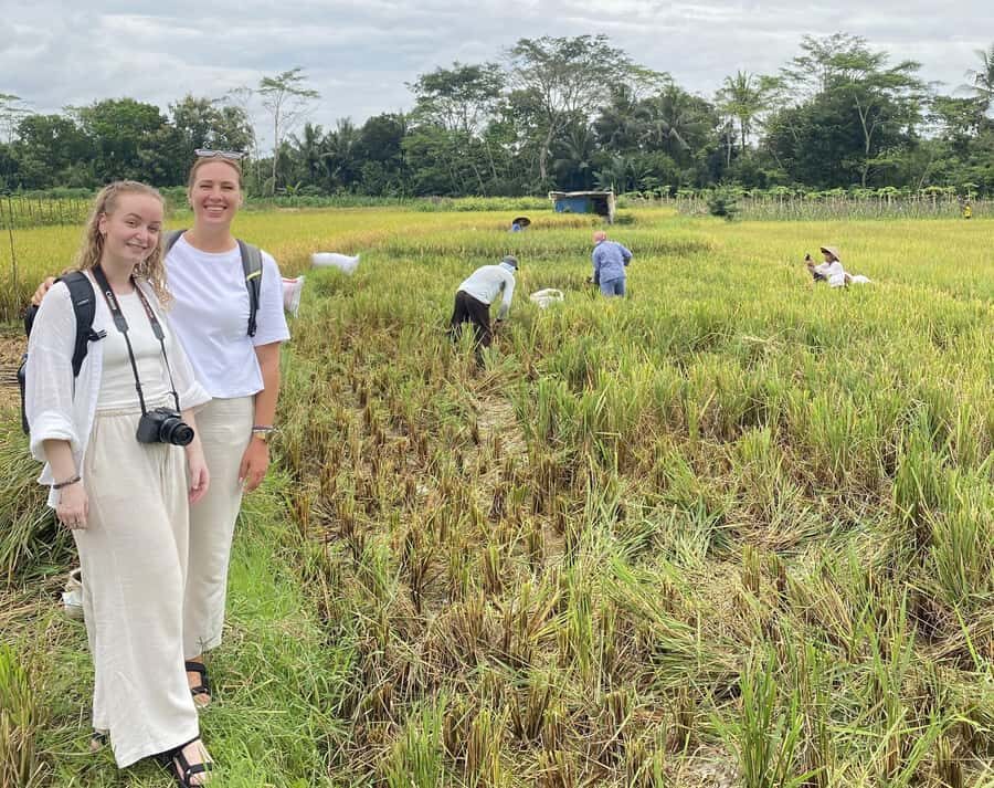 Borobudur Sunrise and Village Tour Private - The Itinerary Breakdown
