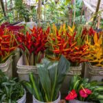 Botanical experience in Argovia: Flowers, Trail, and Tasting - The Transport and Logistics