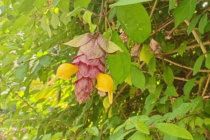 Botanical Garden Exploration - Practical Details and What It Means for You