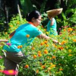 Botanical Tea work shop and Garden Tour - An In-Depth Look at the Botanical Tea Experience in Ubud