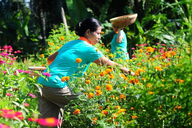 Botanical Tea work shop and Garden Tour - An In-Depth Look at the Botanical Tea Experience in Ubud