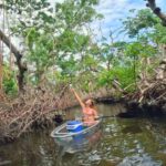 Bradenton: Clear Kayak Mangrove Tunnel Eco Tour - What to Bring and What Not to