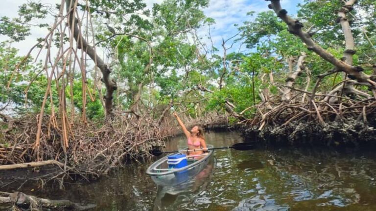 Bradenton: Clear Kayak Mangrove Tunnel Eco Tour - What to Bring and What Not to