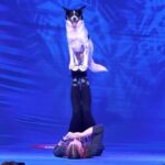 Branson: Pets and Giggles Kid's Comedy Show - The Venue: Grand Country Music Hall