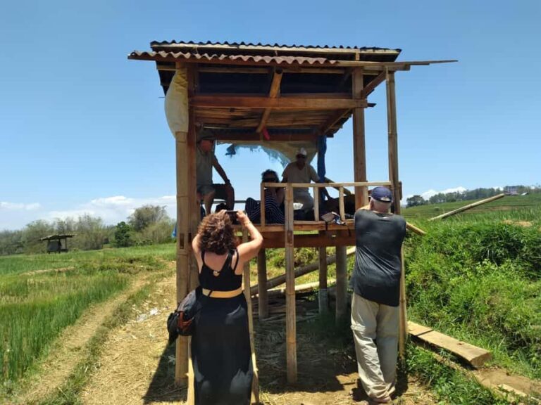 Breathe in Malinos Fresh Air & Explore the Flower City - What to Expect from the Tour