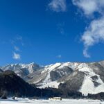 Breathtaking Onsen and Tipsy Tour - Price and Value