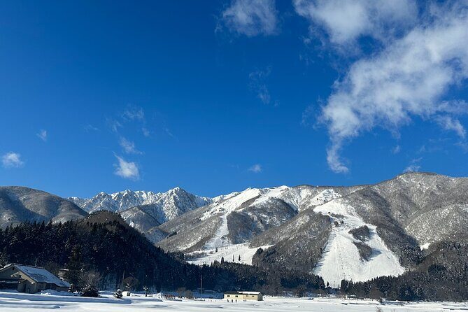 Breathtaking Onsen and Tipsy Tour - Price and Value