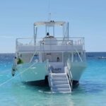 Bridgetown: Wildlife Reserve Tour and Carlisle Bay Cruise - What It Means for You as a Traveler
