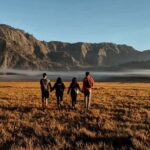 Bromo Sunrise & Madakaripura Waterfall Private 1 Day Tour - A Deep Dive into the Tour Experience