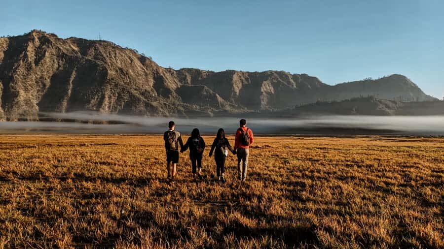 Bromo Sunrise & Madakaripura Waterfall Private 1 Day Tour - A Deep Dive into the Tour Experience
