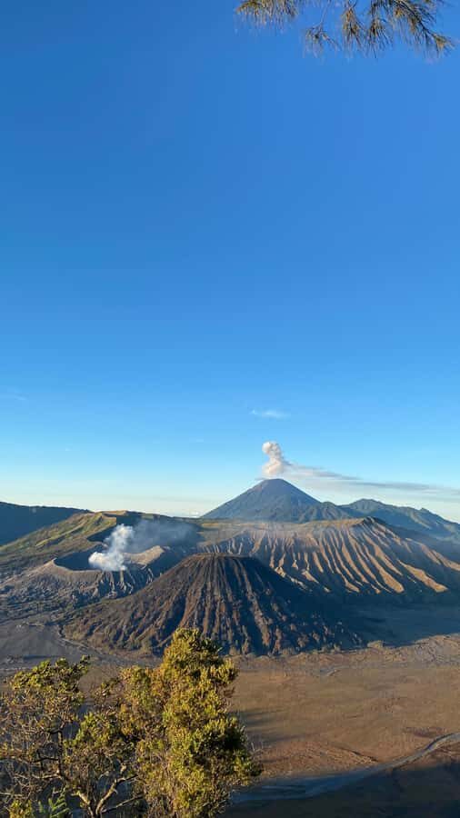 Bromo Sunrise Tour: Start from Malang - Transportation and Logistics: Why They Matter