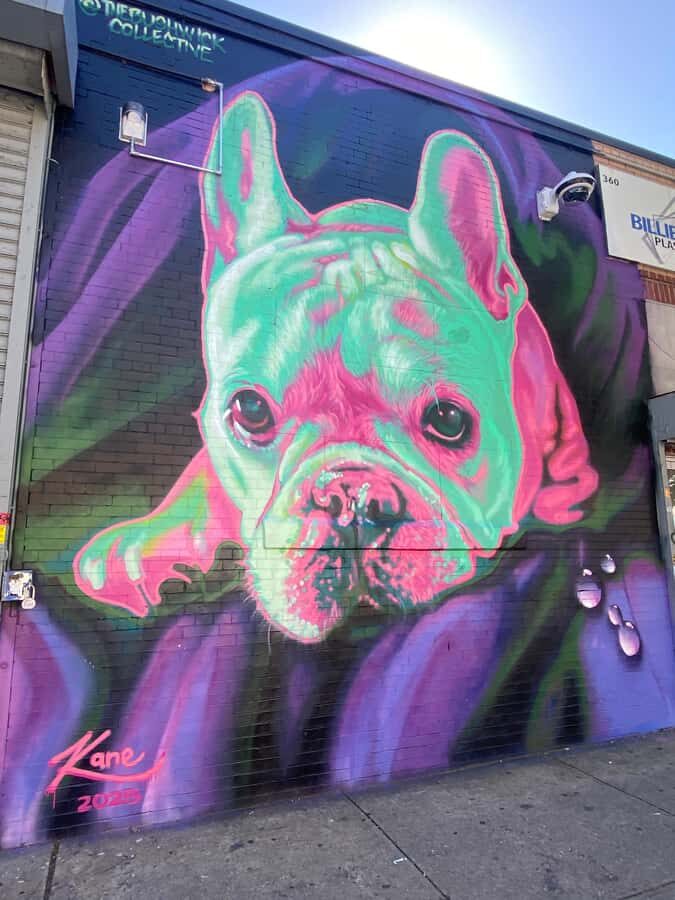 Brooklyn: Bushwick Graffiti Tour - The Bushwick Collective and Its Origins