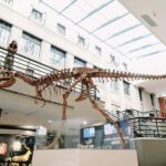 Buffalo: Admission Ticket to Buffalo Museum of Science - The Natural History and Regional Exhibits