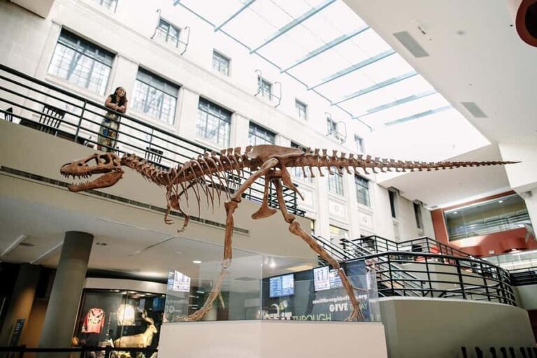 Buffalo: Admission Ticket to Buffalo Museum of Science - The Natural History and Regional Exhibits