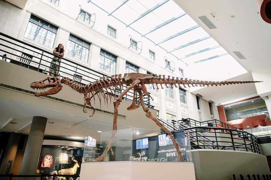 Buffalo: Admission Ticket to Buffalo Museum of Science - The Natural History and Regional Exhibits