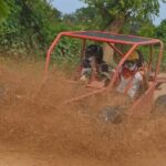 Buggies Experience From Punta Cana - Who Would Benefit Most from This Tour?