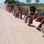 Buggy and Horseback Riding Tour on Macau Beach - Who Will Love This Tour?