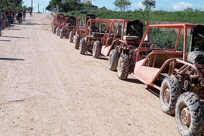 Buggy and Horseback Riding Tour on Macau Beach - Who Will Love This Tour?