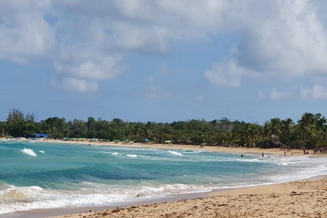 Buggy Extreme Offroad adventure - Who Will Love This Tour?