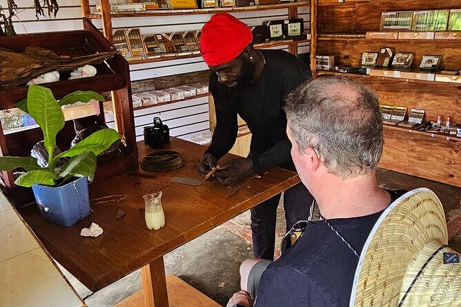 Buggy, horse and plantation ranch - Real Travelers Experiences and Feedback