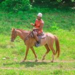 Buggy Horse and Zip Line with Lunch Included from Punta Cana - What Makes This Tour Stand Out?