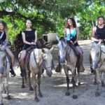 Buggy Ride, Horseback, Zipline,Eco Farm,Macao Beach - Authentic Experiences and Reviewer Insights